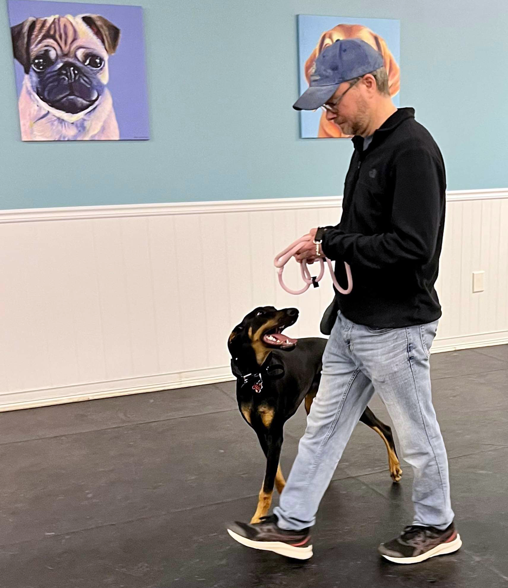 Boarding and Training l Purpose Driven K9 Professional Dog Training